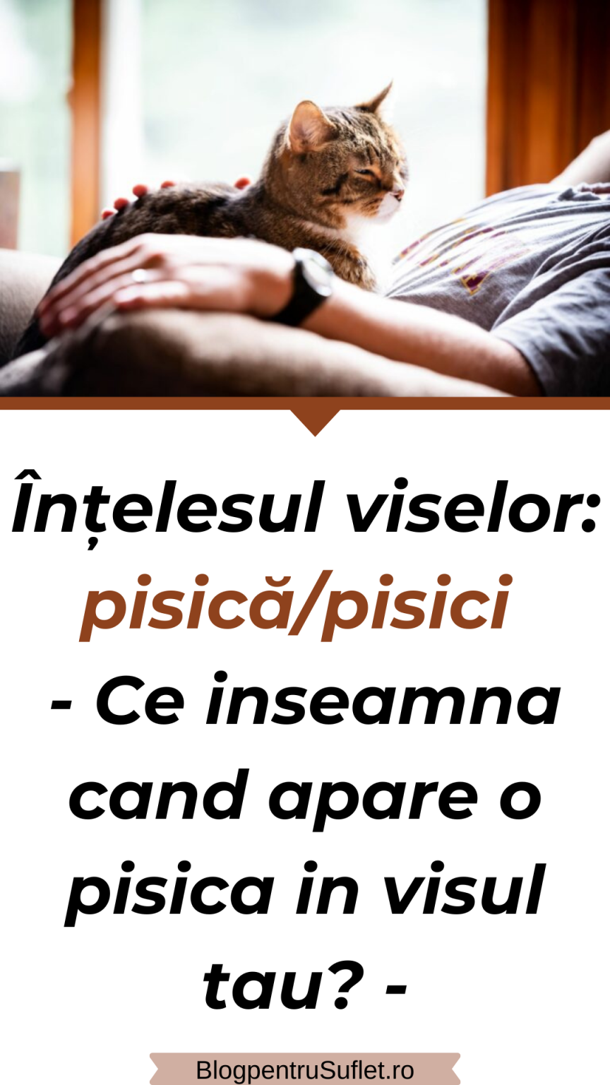 Interpretarea viselor: Ce inseamna cand visezi sânge